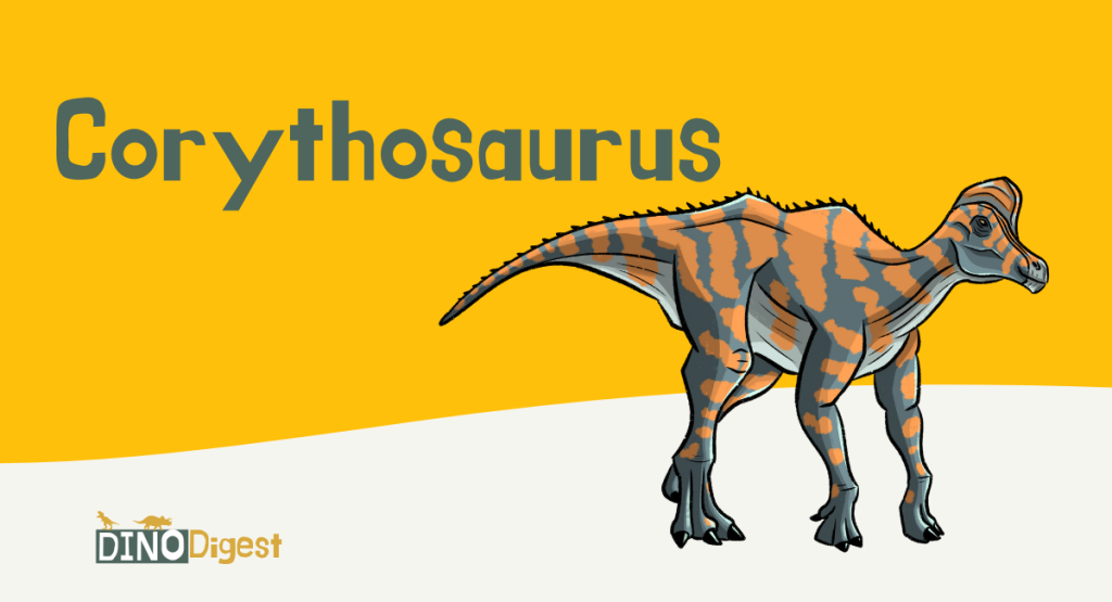 Corythosaurus: The Helmet Lizard | Dino Digest