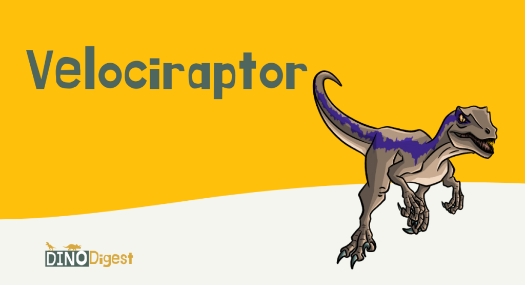 Velociraptor: A Swift Thief With Long Feathers | Dino Digest