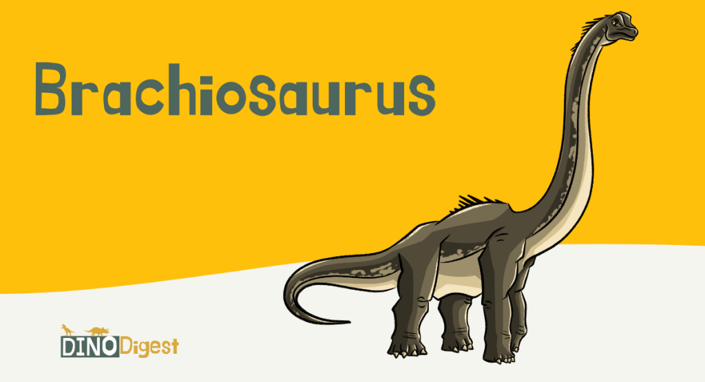 Brachiosaurus: A Giant Long-neck Dino | Dino Digest